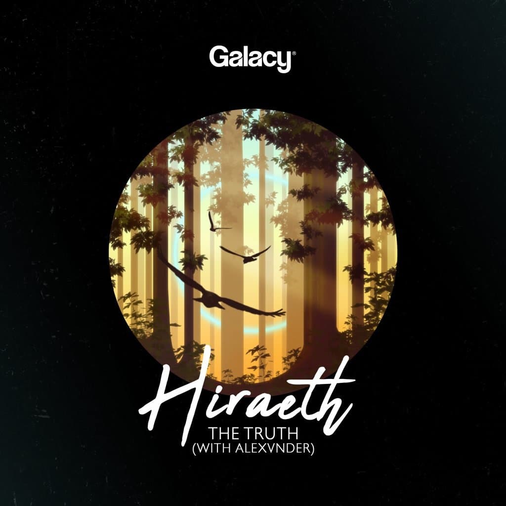 Hiraeth & Alexvnder - The Truth — Liquicity Store