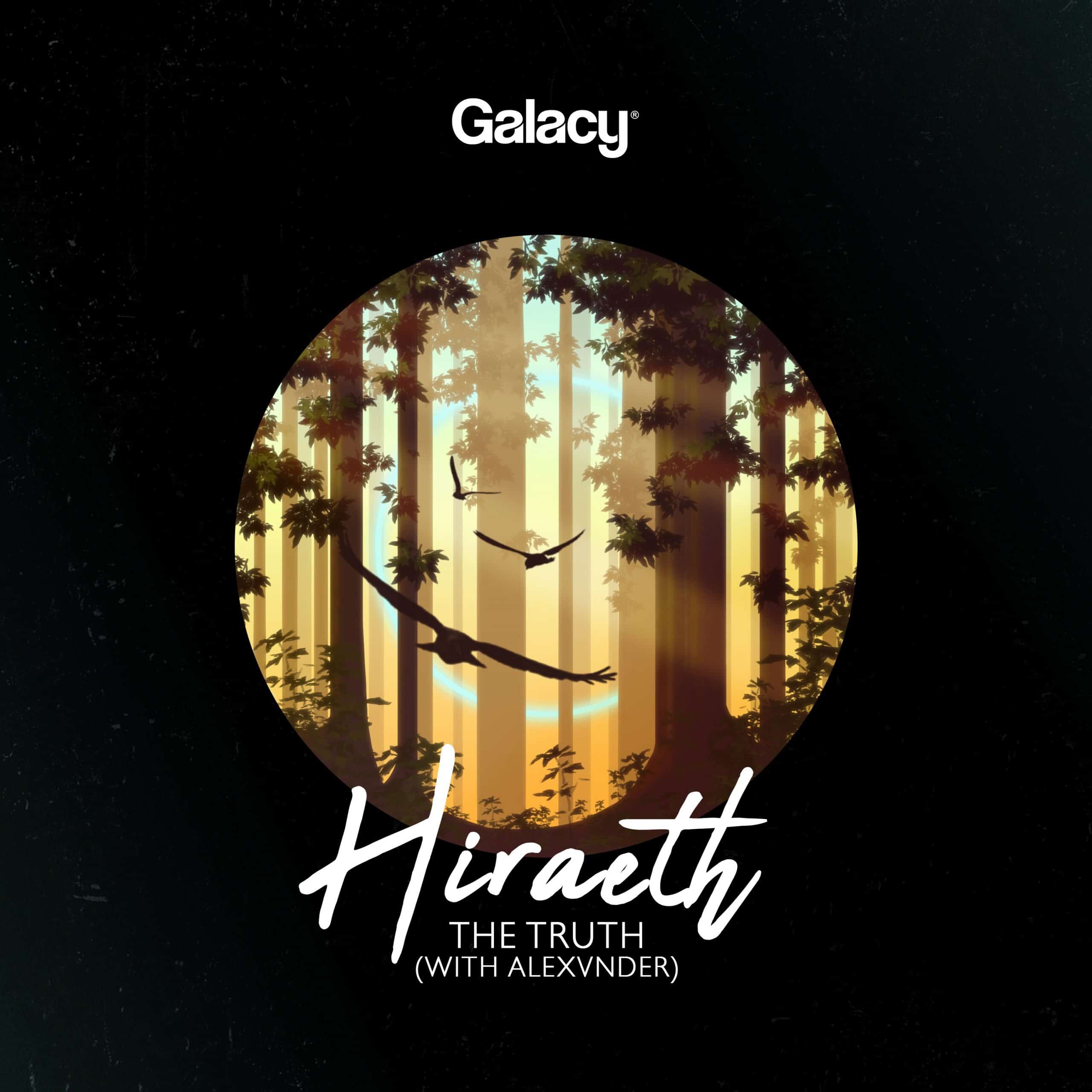 Hiraeth & Alexvnder - The Truth — Liquicity Store